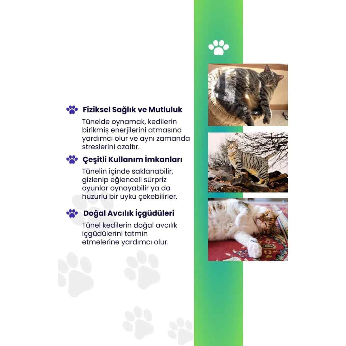 Miyav – Kedi Desenli Renkli Kedi Tüneli 60 cm | Toyzz Shop