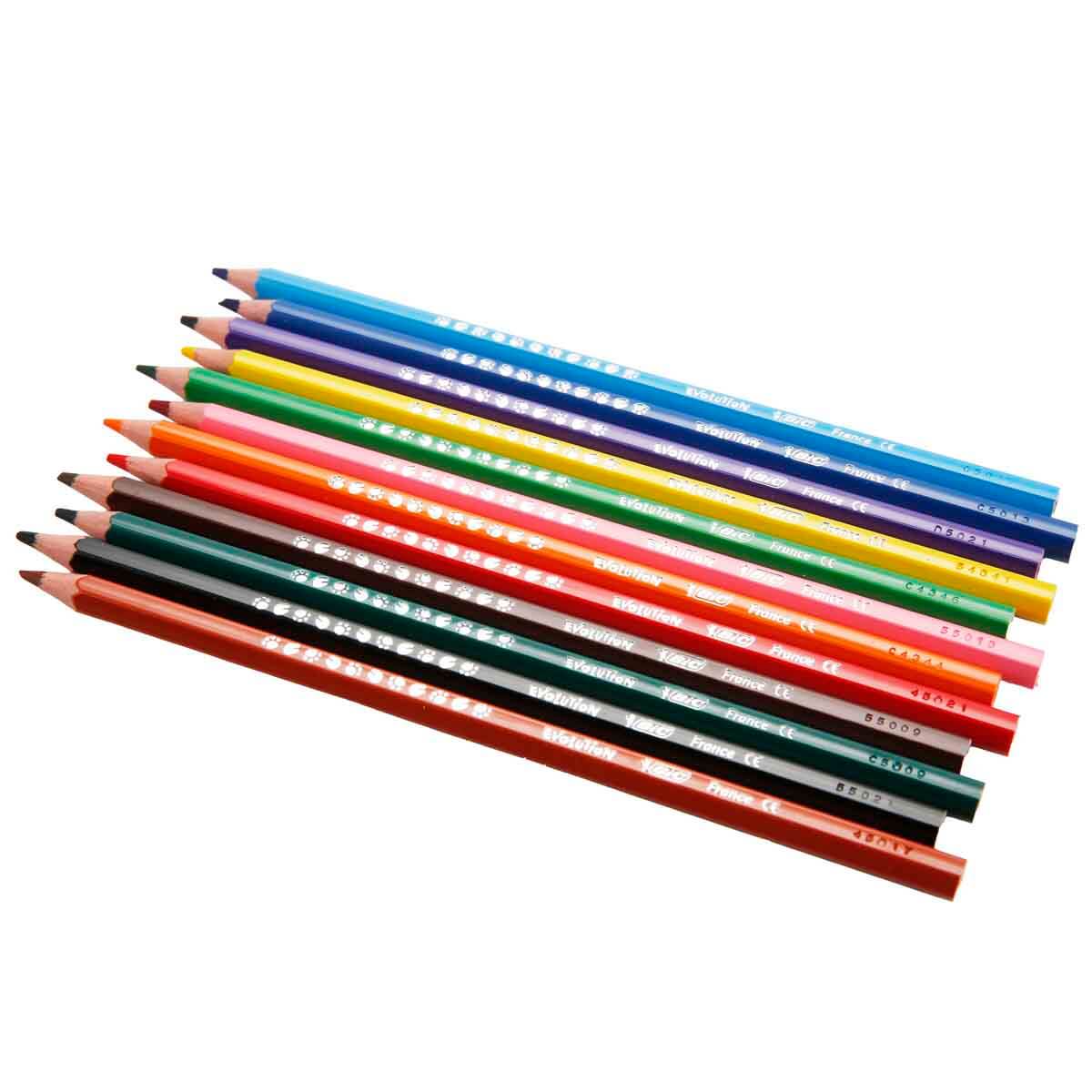 Bic Evolution Kuru Boya Kalemi 12’li | Toyzz Shop