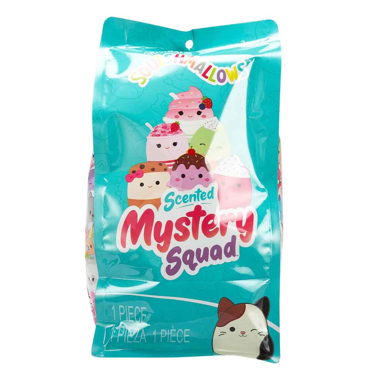 Squishmallows Mystery Squad Sürpriz Peluş 20 cm | Toyzz Shop