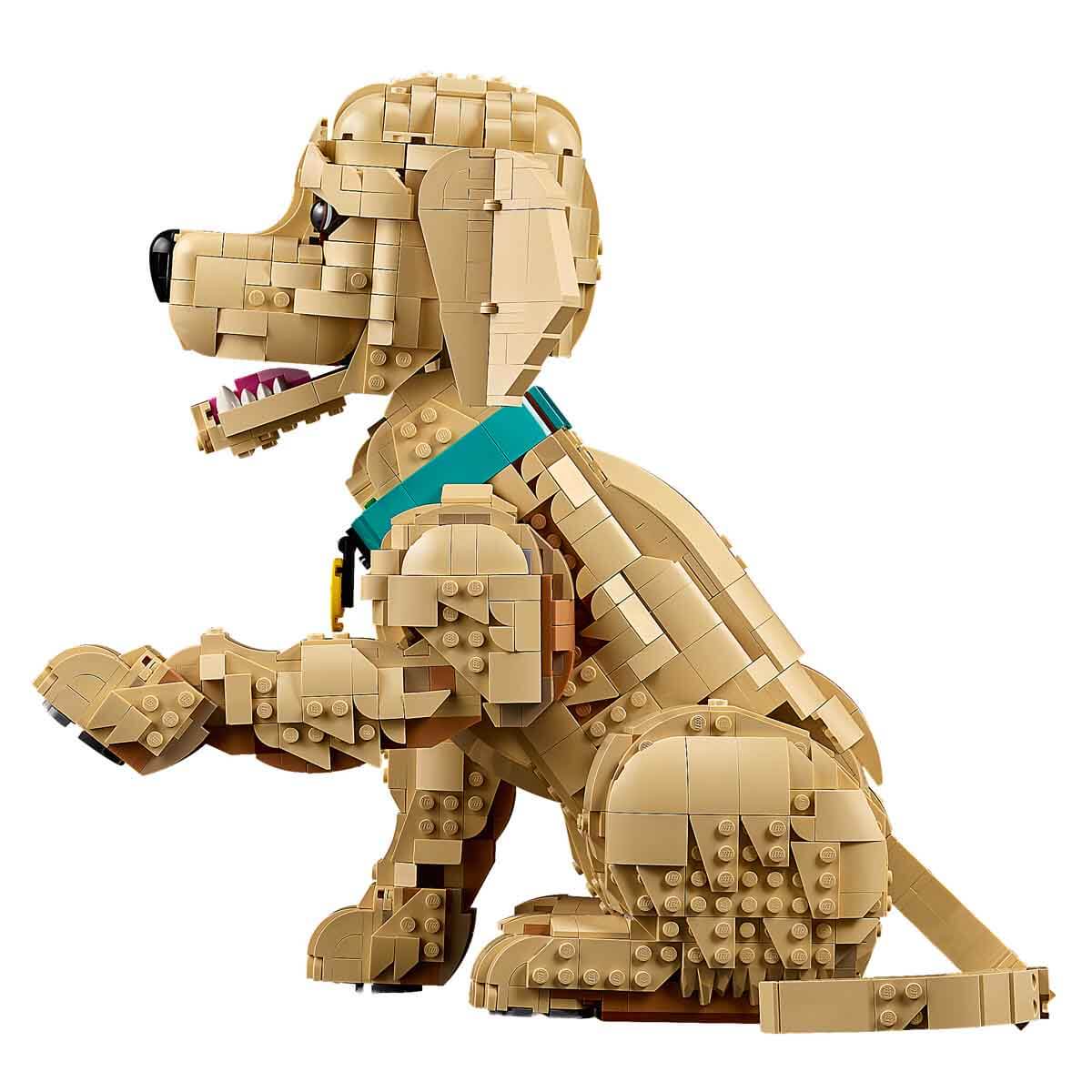 LEGO Icons Yavru Golden Retriever 11384 - Yetişkinler için Dekoratif ...
