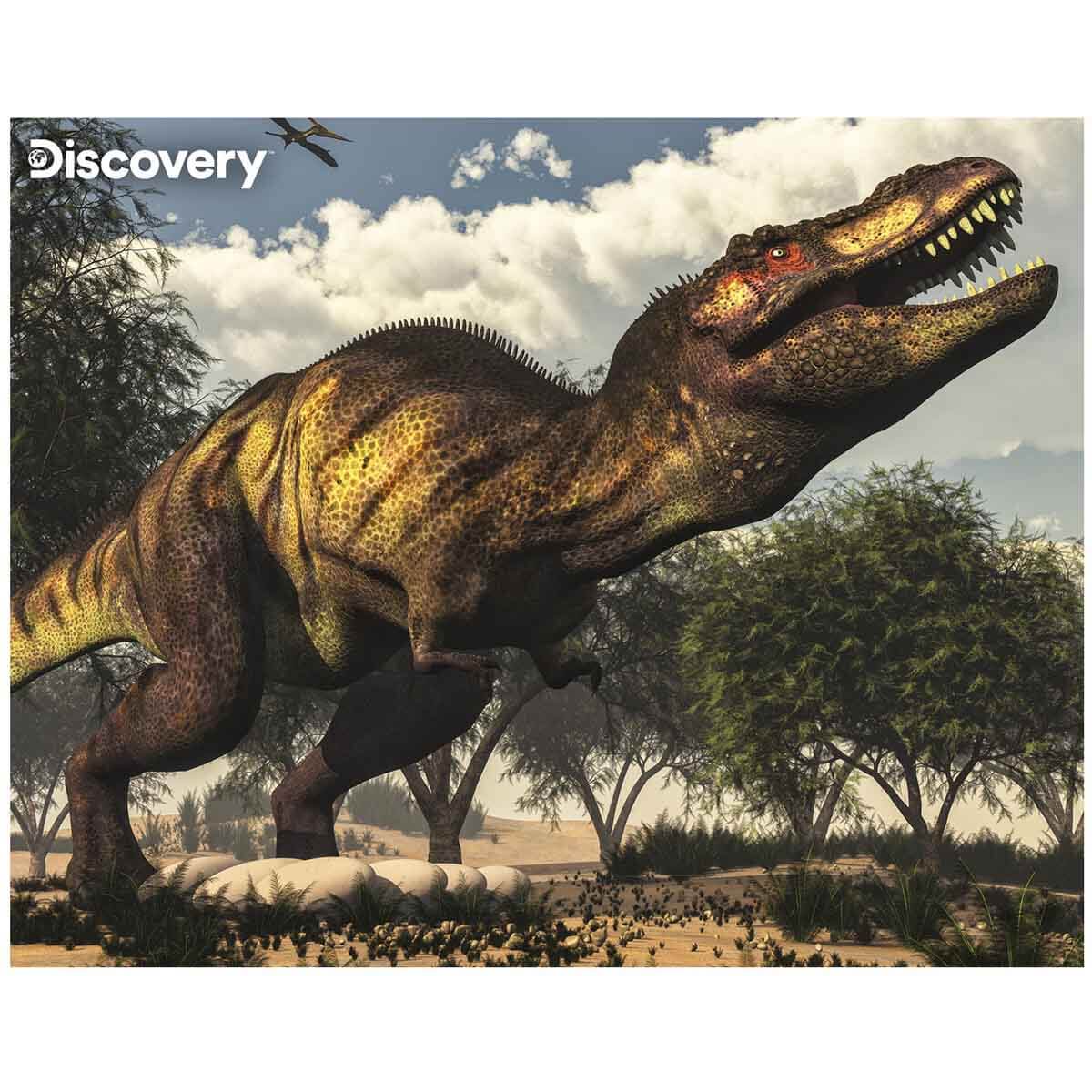 Prime 3D 63 Parça 3D Puzzle: Discovery Tyrannosaurus Rex | Toyzz Shop